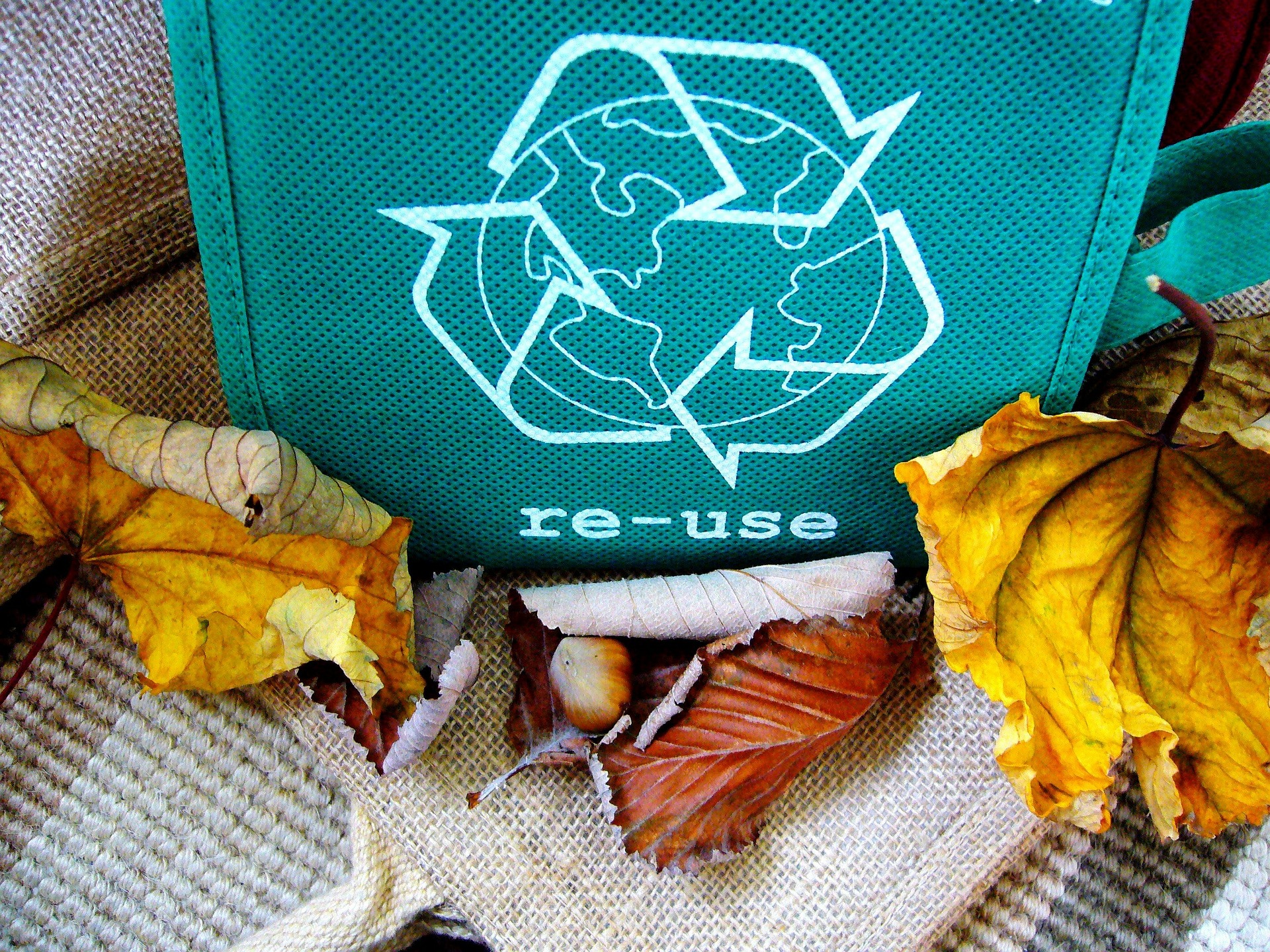 Your ultimate guide to recycling - Your East Sussex by East Sussex ...