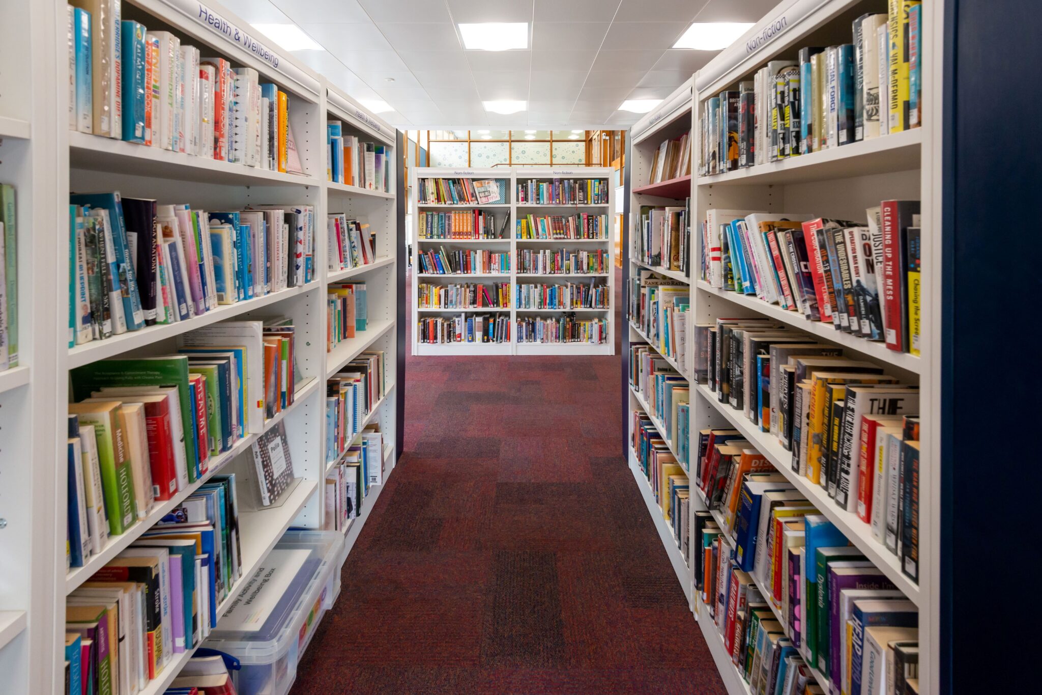 3 reasons you should visit the library this winter - Your East Sussex ...