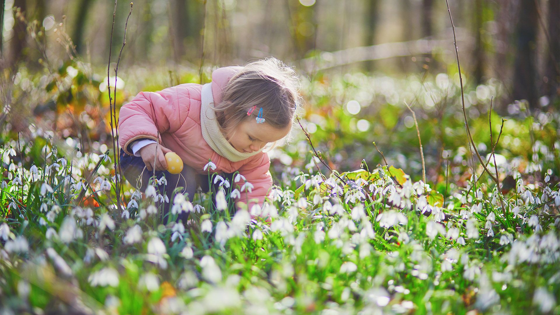 Easter holidays fun for everyone! - Your East Sussex by East Sussex ...